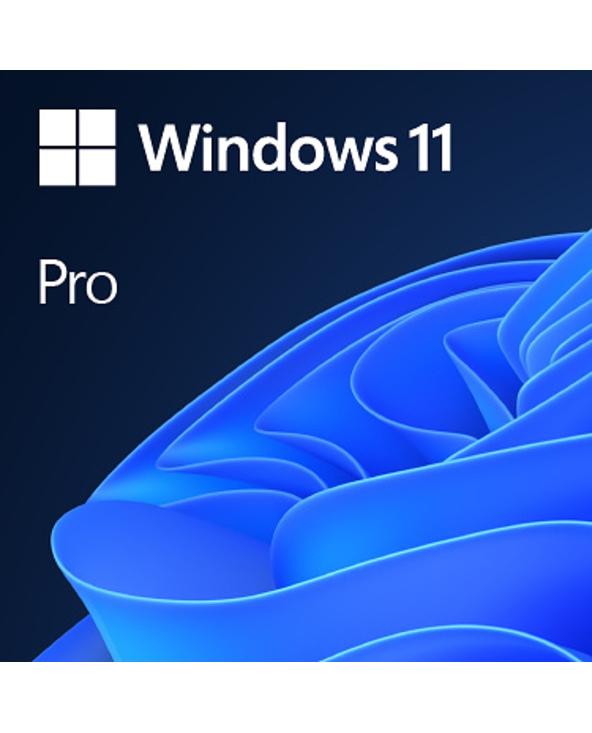 Microsoft Windows 11 Pro OEM